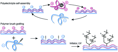 Control of biofouling on reverse osmosis polyamide membranes modified ...