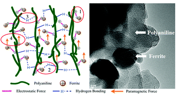 Ferrite-grafted polyaniline nanofibers as electromagnetic shielding ...