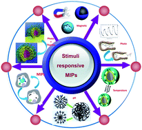 Stimuli-responsive molecularly imprinted polymers: versatile functional ...