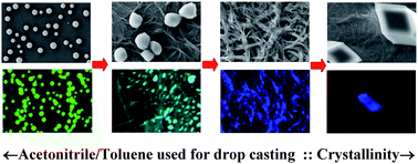 Hierarchical assembly of a molecular material through the amorphous ...
