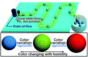 Facile fabrication of tunable colloidal photonic crystal hydrogel ...