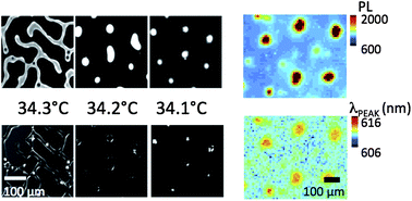 Quantum dot/liquid crystal composite materials: self-assembly driven by ...