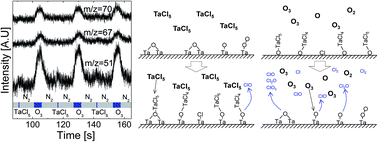 Atomic layer deposition of tantalum oxide and tantalum silicate from ...