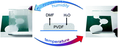 Controlling the microstructure of poly(vinylidene-fluoride) (PVDF) thin ...
