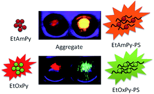 Preparation of 4-dicyanomethylene-2,6-distyryl-4H-pyran derivatives ...