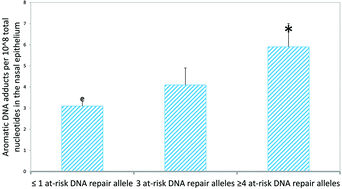 DNA adducts and the total sum of at-risk DNA repair alleles in the ...