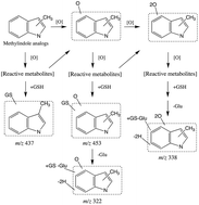 For a series of methylindole analogs, reactive metabolite formation is ...