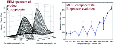 Comprehensive, quantitative bioprocess productivity monitoring using ...
