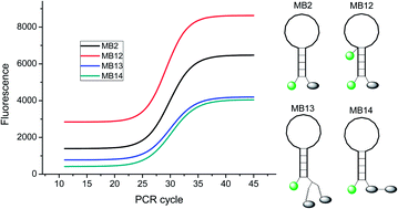 Design of molecular beacons: 3′ couple quenchers improve fluorogenic ...