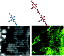 Single vs. two-photon microscopy for label free intrinsic tissue ...