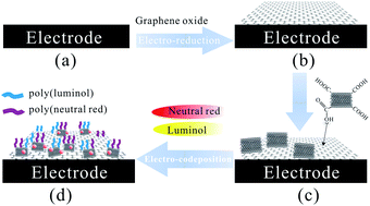 A highly sensitive NADH sensor based on a mycelium-like nanocomposite ...