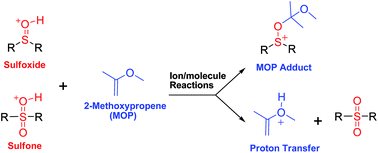 Identification of the sulfoxide functionality in protonated analytes ...