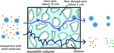 Simultaneous analysis of nanoparticles and small molecules by high ...