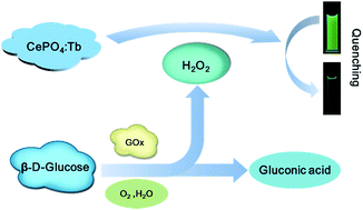 Luminescent CePO4:Tb colloids for H2O2 and glucose sensing - Analyst ...