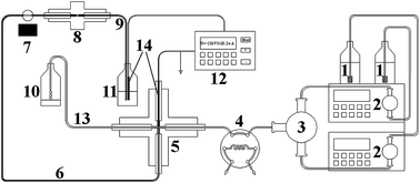 A pressure-driven capillary electrophoretic system with injection valve ...