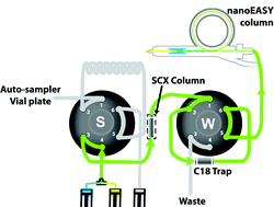Characterization and usage of the EASY-spray technology as part of an ...