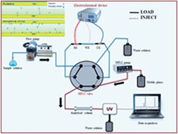 Electrochemically controlled in-tube solid phase microextraction of ...