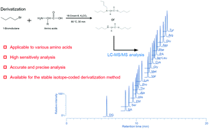 A novel amino acid analysis method using derivatization of multiple functional groups followed ...