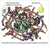 A native chromatin extraction method based on salicylic acid coated ...