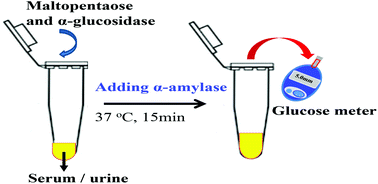 A sensitive one-step method for quantitative detection of α-amylase in ...