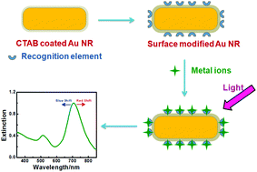 A gold nanorod-based localized surface plasmon resonance platform for ...