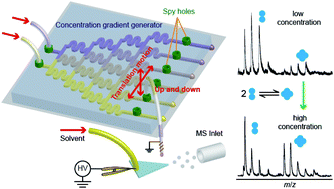 Online multi-channel microfluidic chip-mass spectrometry and its ...