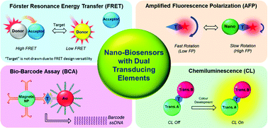 Nanomaterial-based biosensors using dual transducing elements for ...