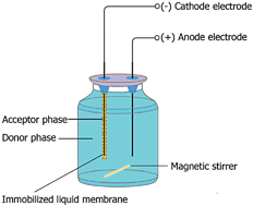 Electromembrane extraction followed by high performance liquid ...