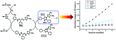 A new spectrophotometric assay for measuring pyruvate dehydrogenase ...