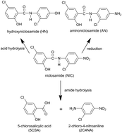 Simultaneous determination of niclosamide and its degradates in water ...