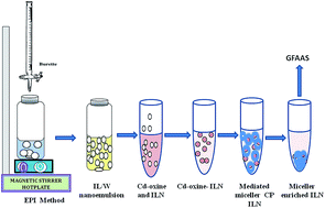Development of green miniaturized dispersive ionic liquid nano-emulsion ...