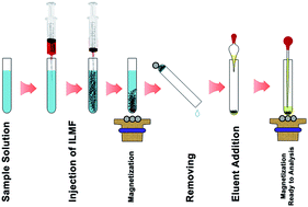 Dispersive magnetic solid phase extraction based on an ionic liquid ...