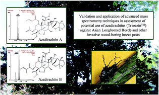 Application of liquid chromatography/mass spectrometry in assessment of ...