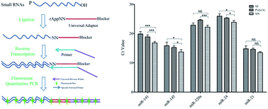 A universal linker-RT PCR based quantitative method for the detection ...