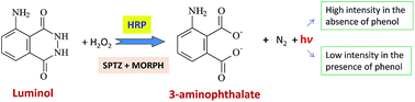 Chemiluminescent assay of phenol in wastewater using HRP-catalysed ...