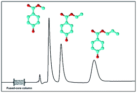 A flow injection low-pressure chromatographic system exploiting fused ...