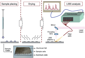 Hyphenation of single-drop microextraction with laser-induced breakdown ...