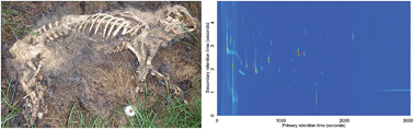 Seasonal comparison of carrion volatiles in decomposition soil using ...