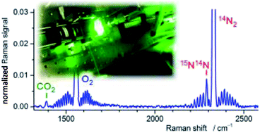Trace gas and dynamic process monitoring by Raman spectroscopy in metal ...