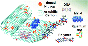 Nitrogen-doped carbon nanotubes and graphene composite structures for ...