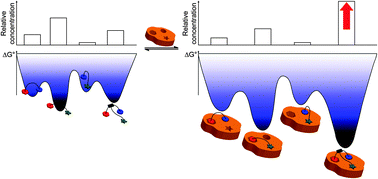 Probing secondary interactions in biomolecular recognition by dynamic ...