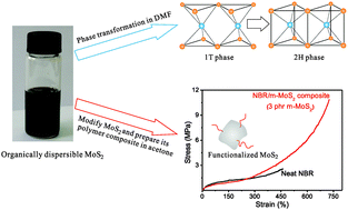 A generic solvent exchange method to disperse MoS2 in organic solvents ...