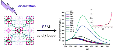 A colloidal water-stable MOF as a broad-range fluorescent pH sensor via ...