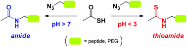 Controlled thioamide vs. amide formation in the thioacid–azide reaction ...