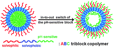 Nanoparticle-to-vesicle and nanoparticle-to-toroid transitions of pH ...