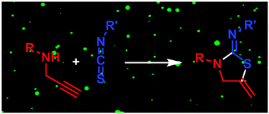 Propargylamine–isothiocyanate reaction: efficient conjugation chemistry ...