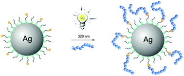 Light-induced modification of silver nanoparticles with functional ...