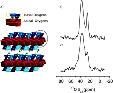 Direct evidence of Lowenstein's rule violation in swelling high-charge ...
