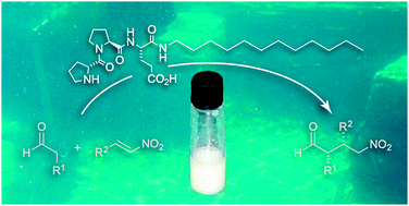 Peptide catalysis in aqueous emulsions - Chemical Communications (RSC ...