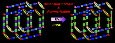 Solid-state polymerization in a polyrotaxane coordination polymer via a ...